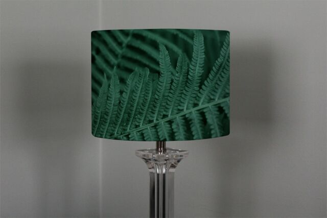 deep green fern leaves texture fern in the forest plants background ...