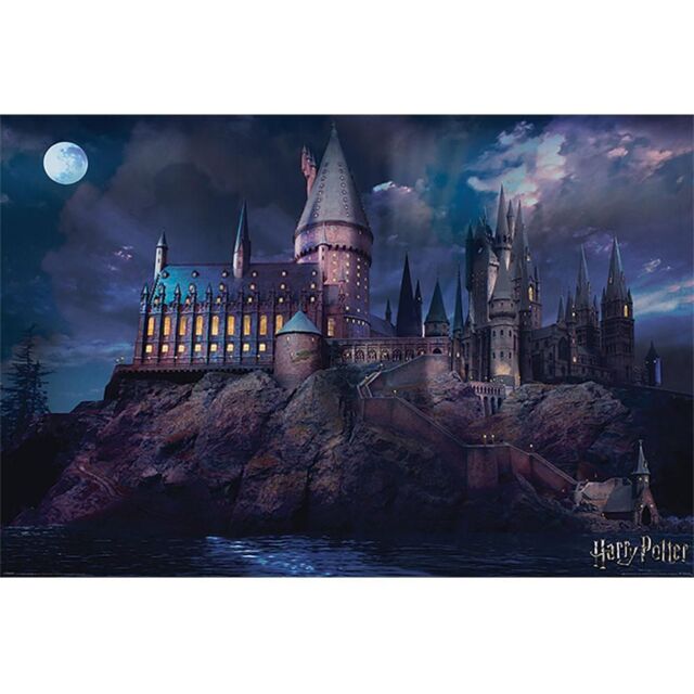 Harry Potter Hogwarts Scene Poster by Debenhams | uFurnish.com