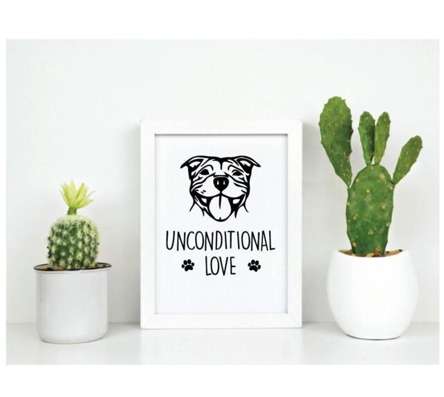 Staffy Unconditional Love Inspirational Quote in Frame by Debenhams ...