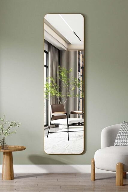 Modern Rounded Rectangle Door Hanging/Wall Mounted Mirror for Hallway ...