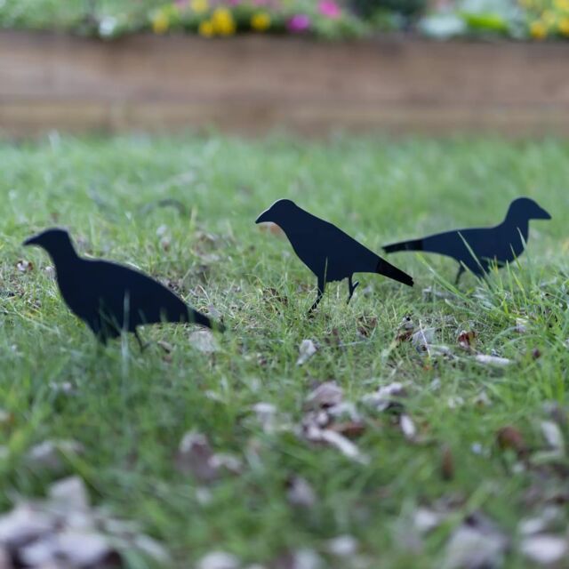 3x Metal Crow Target Set Free Standing Deterrent Decoy Metal Birds ...