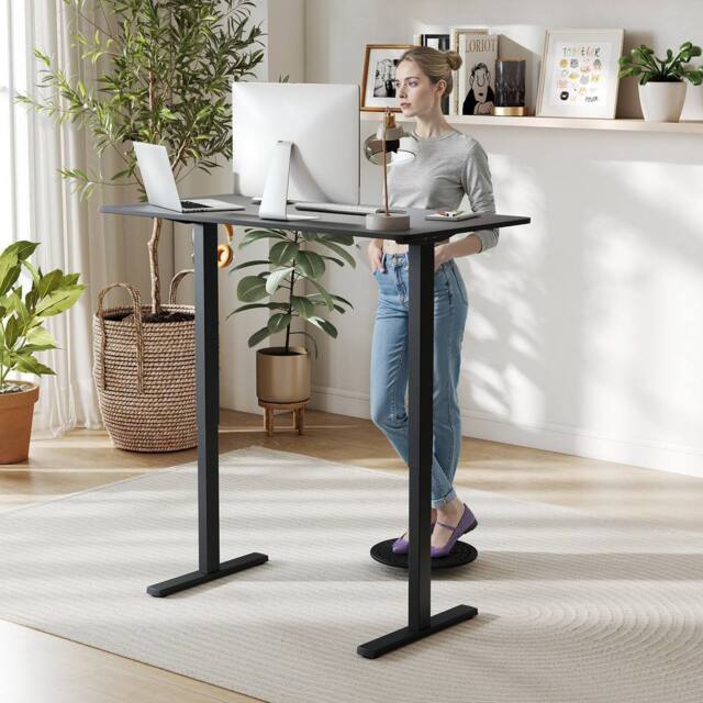 Costway Ergonomic Stand Up Desk 120x60CM Electric Standing Computer ...