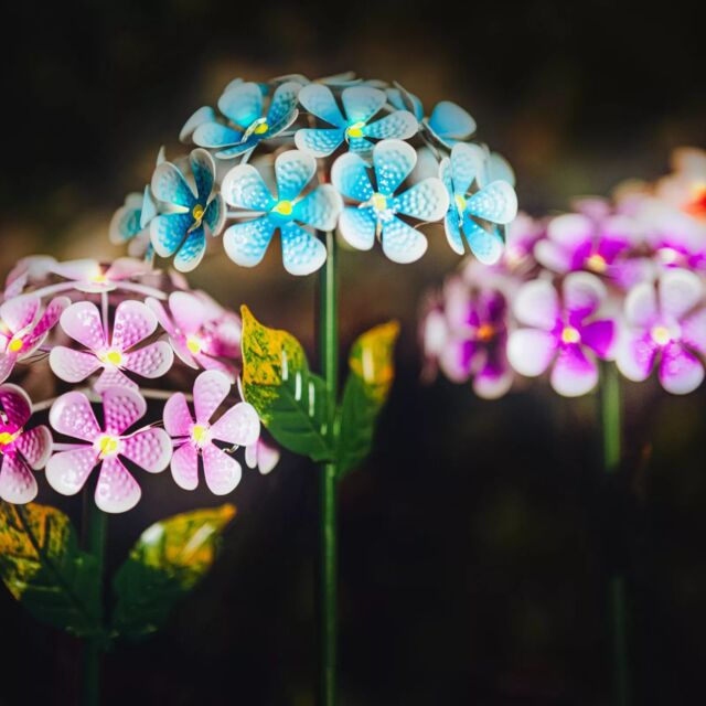 Marco Paul Pack of 4 Flower Solar Stake Lights Decorative Pathway ...
