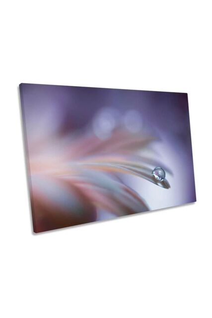 "CanvasGeeks Sound of Soul Petals Water Droplet Canvas Wall Art Picture ...