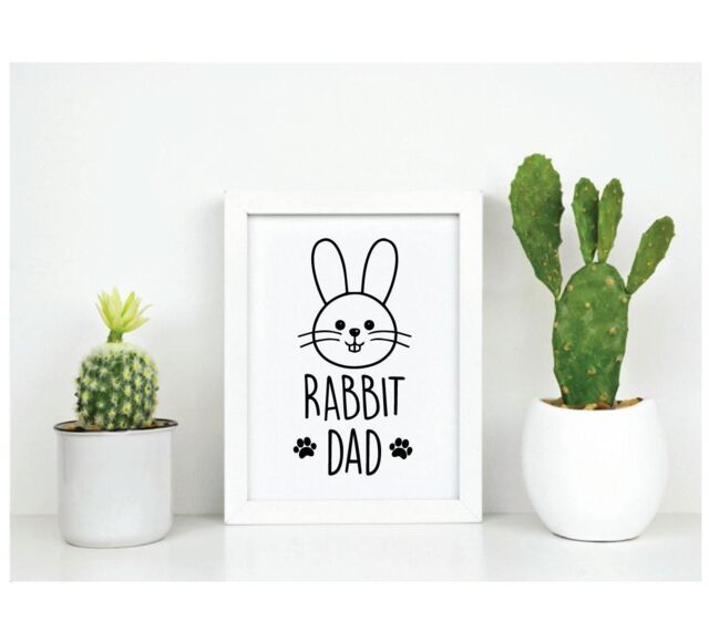 Rabbit Dad Inspirational Quote in Frame by Debenhams | ufurnish.com