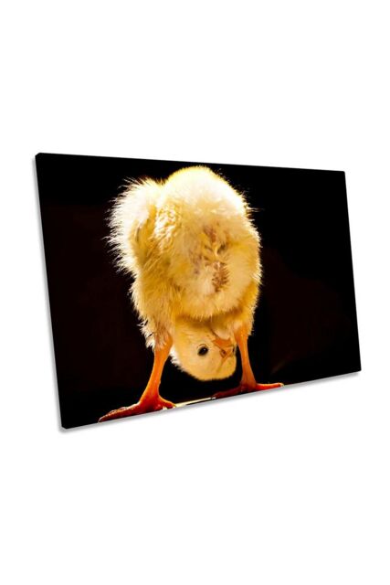 "CanvasGeeks Funny Chick Humour Canvas Wall Art Picture Print in Yellow ...