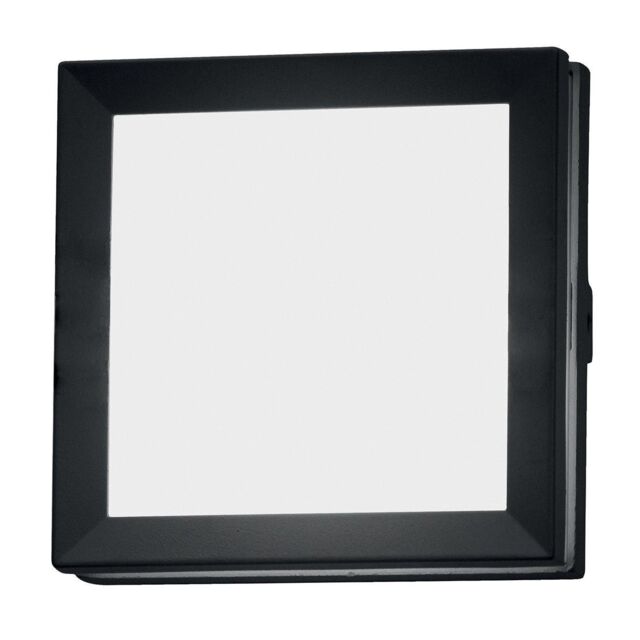Netlighting Egil 1 Light Indoor Wall Ceiling Lantern Light Graphite ...