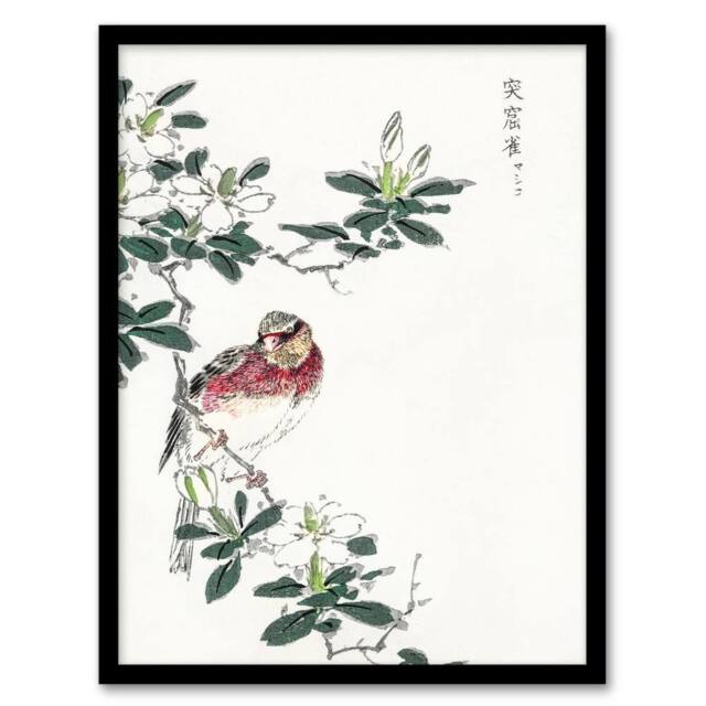 Artery8 Long Tailed Rosefinch Japanese Japan Framed Wall Art Print ...