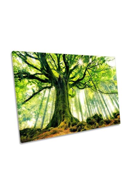 "CanvasGeeks Ponthus Beech Tree Forest Green Canvas Wall Art Picture ...
