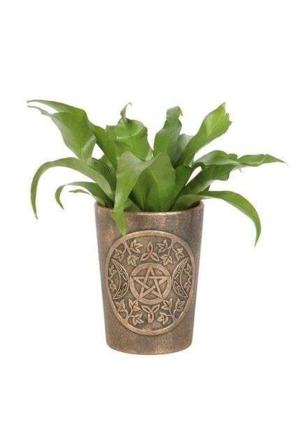 KDMD Triple Moon Bronze Terracotta Plant Pot by Debenhams | ufurnish.com