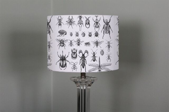 big set of insects bugs beetles and bees fleas many species in vintage ...
