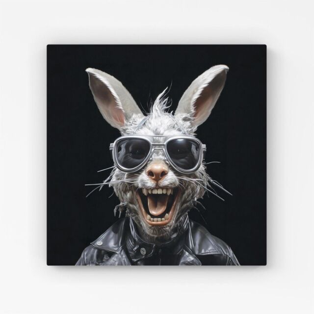 Funky Rabbit Face With Glasses Canvas by Debenhams | ufurnish.com