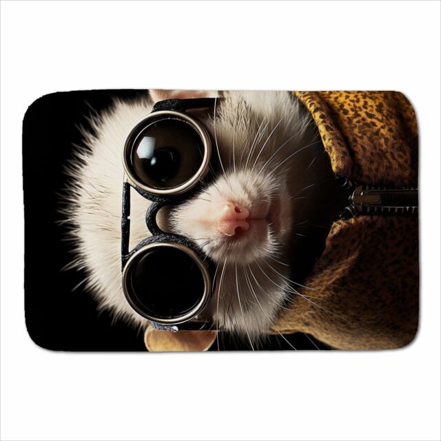 Warren Reed - Designer Siberian Cat With Glasses Splashart Sherpa ...