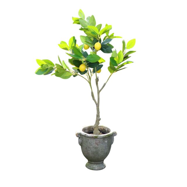 Large Artificial Citrus Zest Lemon Tree - 90cm by Debenhams | ufurnish.com