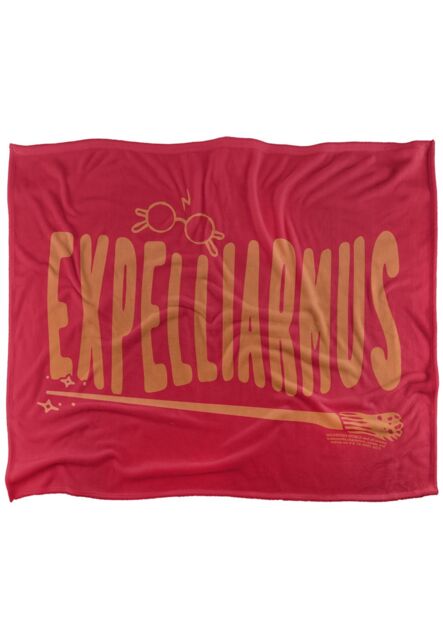 Warner Brothers Harry Potter The Hogwarts School Expelliarmus Blanket ...