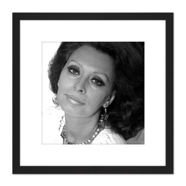 Warren Portrait Actress Sophia Loren Head Shot Photo 8X8 Inch Square ...