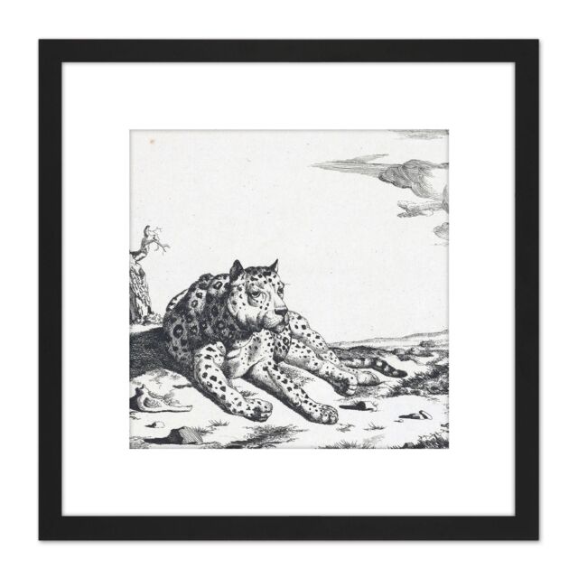 Bye Potter Lying Leopard From Front Big Cat Etching 8X8 Inch Square ...