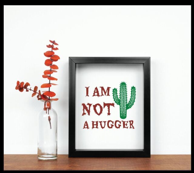 Cactus I'm Not A Hugger Life Inspirational Quote in Frame by Debenhams ...
