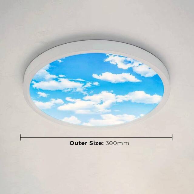 ENER-J Surface mounted SKY LED Ceiling Light, 2D Printed SKY Light ...