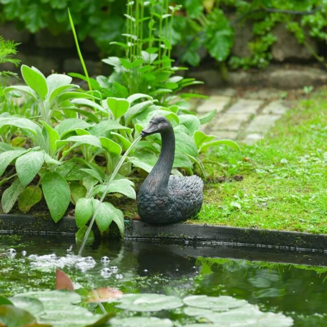 Ubbink Floating Spitter Garden Fountain Swan by Debenhams | uFurnish.com