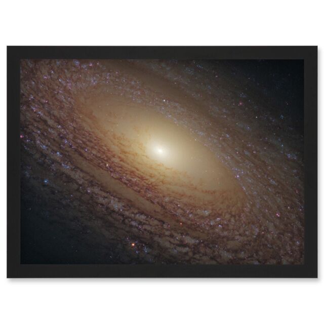 Hubble Space Telescope Image Spiral Galaxy NGC 2841 Blue Pink Emission ...