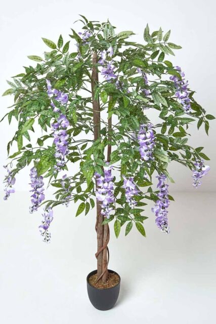 Lilac Artificial Wisteria Tree with Twisted Real Wood Trunk, 5 Ft by ...