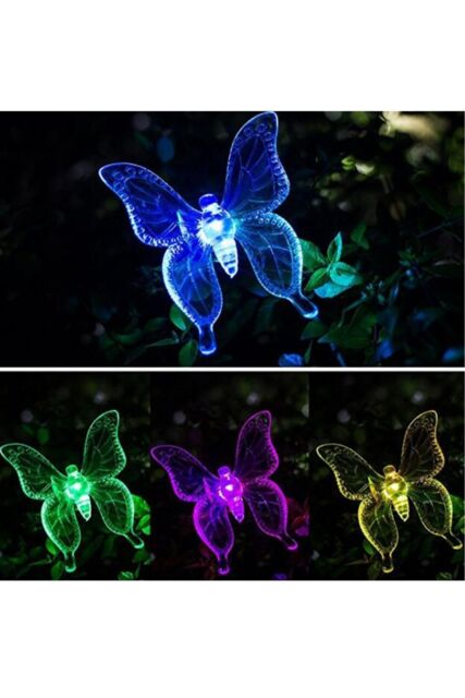 Set of 2 Solar Butterfly Garden Lights by Debenhams | ufurnish.com