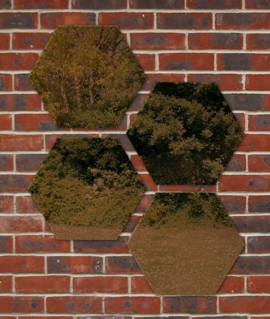 Small Hexagonal Bronze Outdoor Acrylic Garden Mirrors 30cm by Debenhams ...