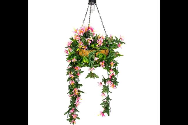 Primrose Artificial Duranta Pink Flowers Hanging Basket with Solar ...
