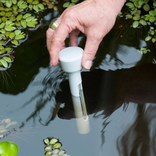 Ubbink Floating Pond Thermometer by Debenhams | ufurnish.com