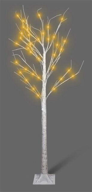 Indoor/Outdoor LED Birch Tree With Timer by Debenhams | ufurnish.com