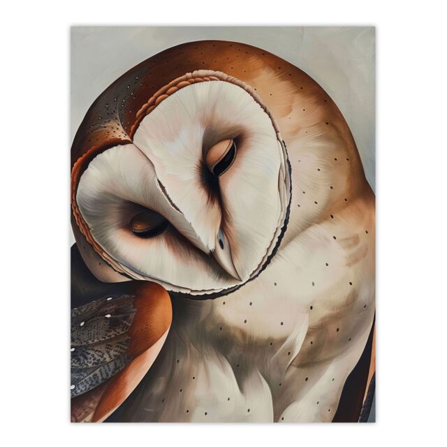 "Artery8 Peaceful Owl Portrait Calm Magical Bird Animal Wall Art Print ...