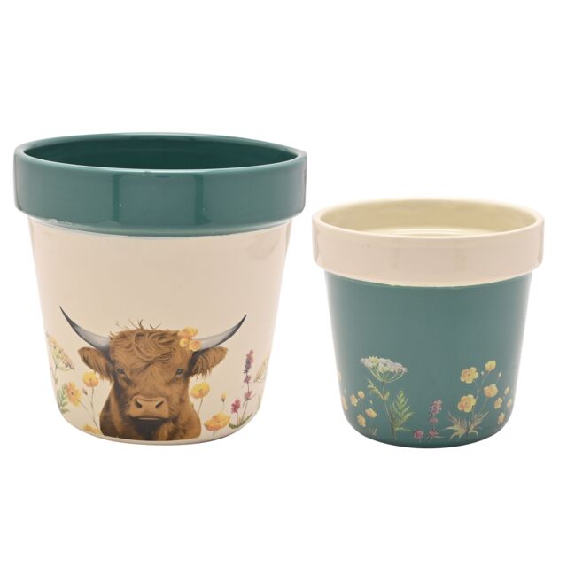 The Collection Set of 2 Planters - Highland Cow by Debenhams | ufurnish.com