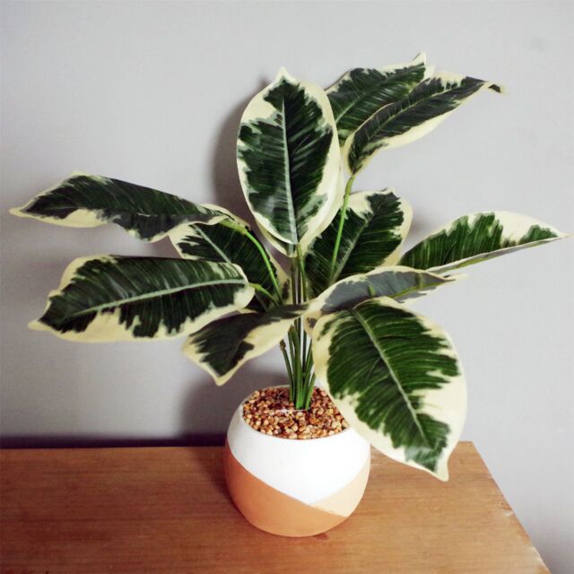 Leaf Artificial Plant Pothos Variagated with Planter Botanik in Orange ...