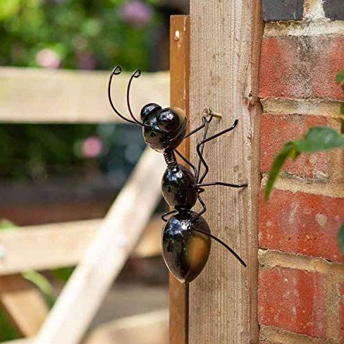 Hanging Garden Ornaments Outdoor Metal Wall Art Ant by Debenhams ...