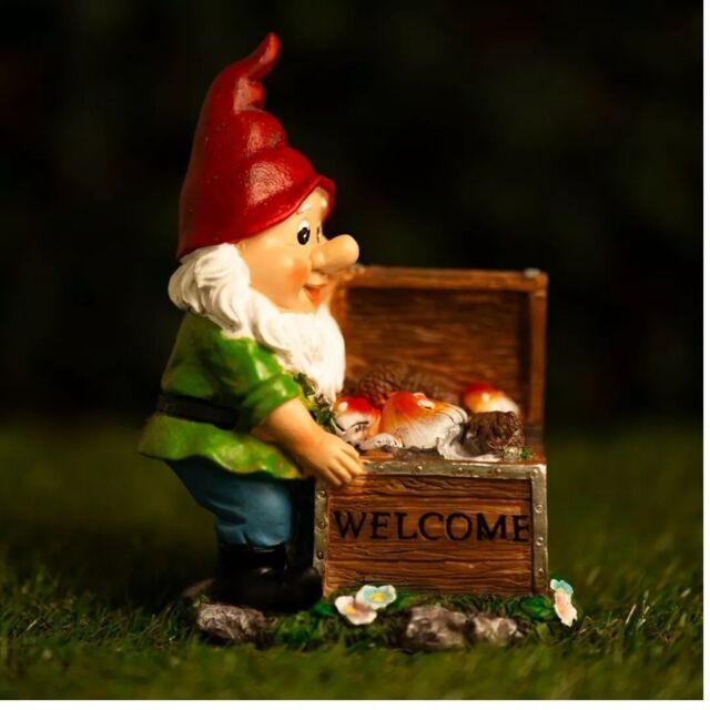 Solar Light Gnome Garden Ornament LED Welcome Chest by Debenhams ...