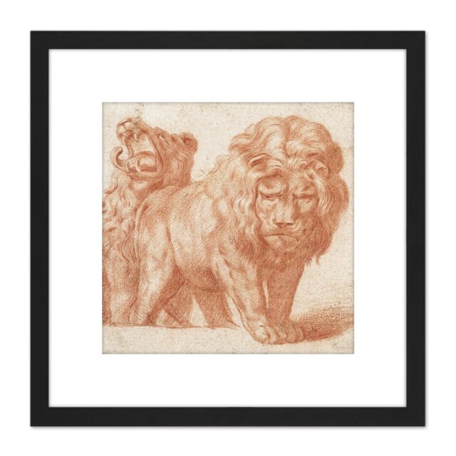 Peter Paul Rubens Two Lions Roaring Illustration 8X8 Inch Square Wooden ...