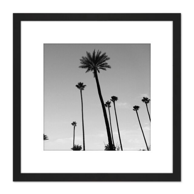 Artery8 Nimmee Palm Trees Seville Spain Silhouette Photo 8X8 Inch ...