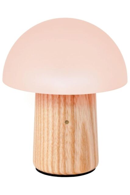 Alice Mushroom Lamp Large with 7 Colour Changing RGB - White Ash by ...