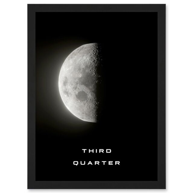 Phases of the Moon Astronomy Third Quarter Lunar Space Poster Artwork ...