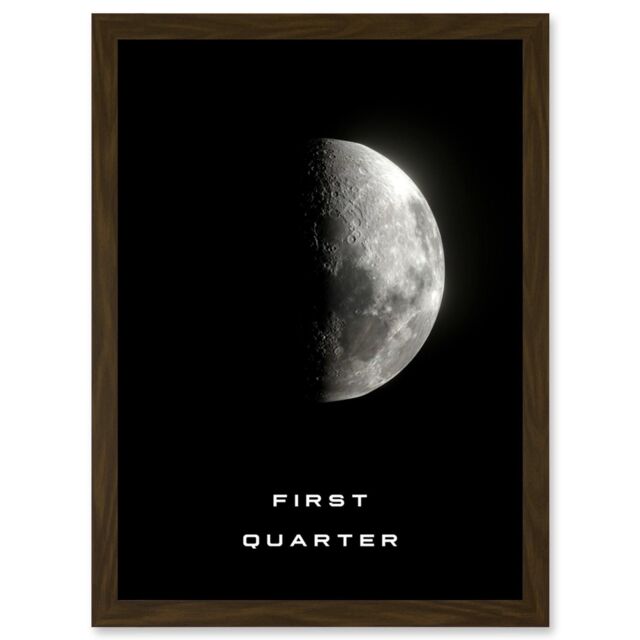 Phases of the Moon Astronomy First Quarter Lunar Space Poster Artwork ...