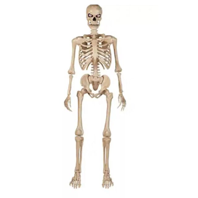 5ft Battery Operated Ultra Pose-N-Stay Full Body Skeleton Halloween ...