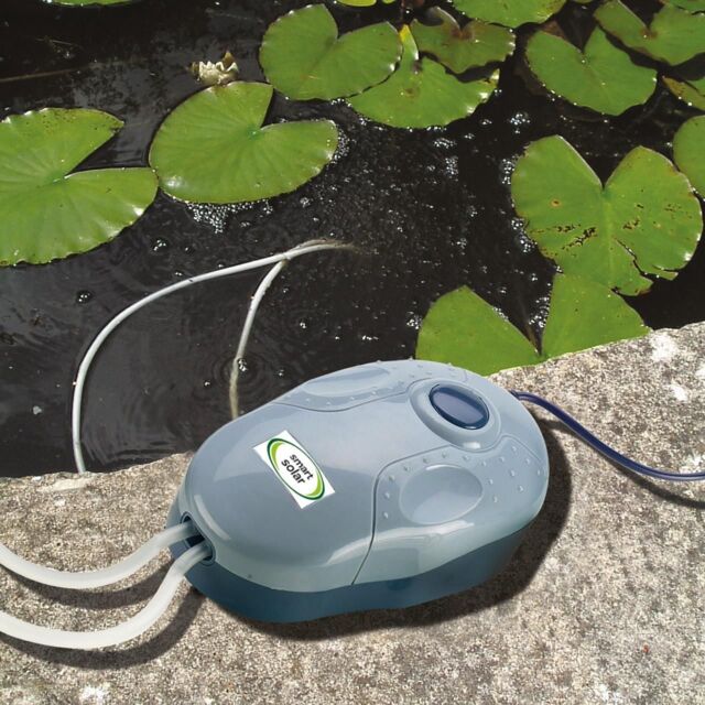 Solar Powered Pond Oxygenator for Reducing Algae & Bacteria by ...