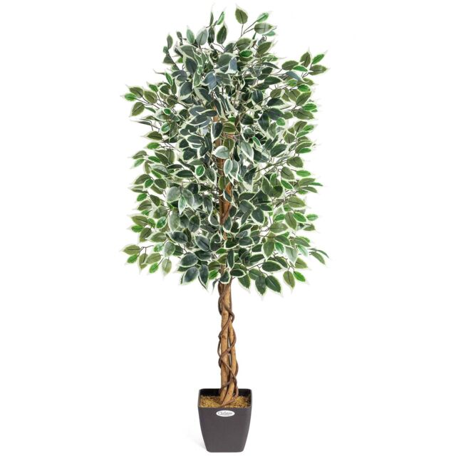 Artificial Variegated Ficus Tree Realistic Faux House Plant in Pot by ...
