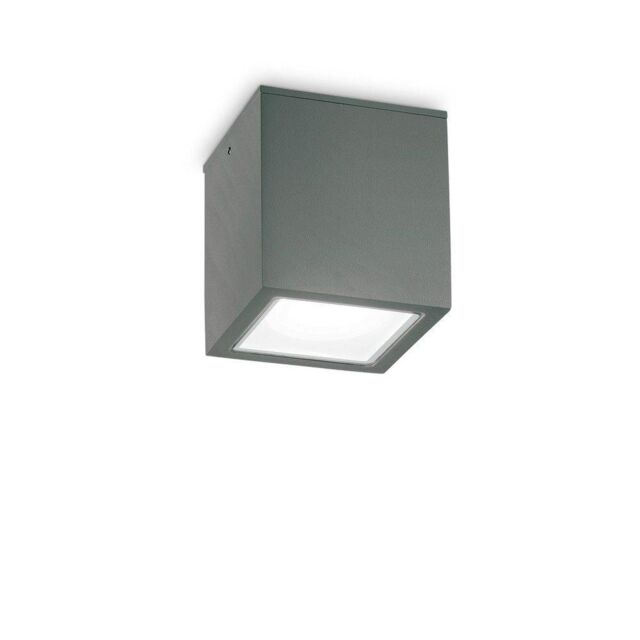 Netlighting Techo Outdoor Large Surface Mounted Downlight Anthracite ...