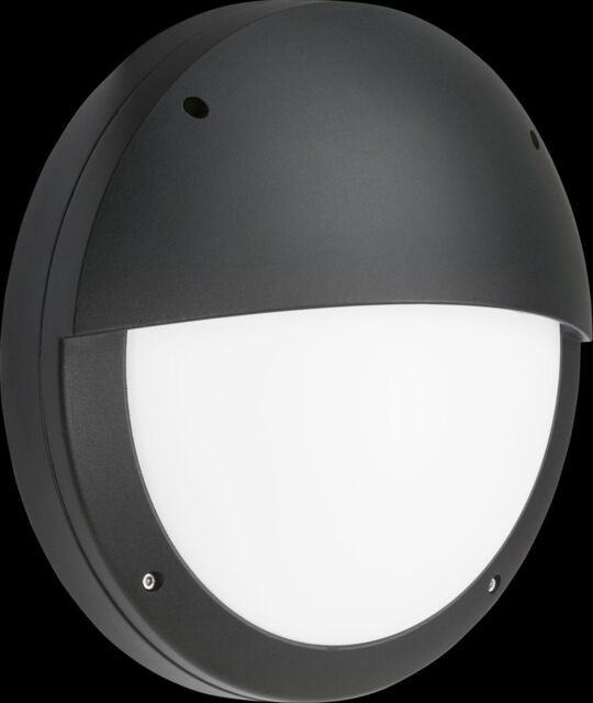Netlighting LED Eyelid Bulkhead CCT with Emergency Black 230V IP65 18W ...
