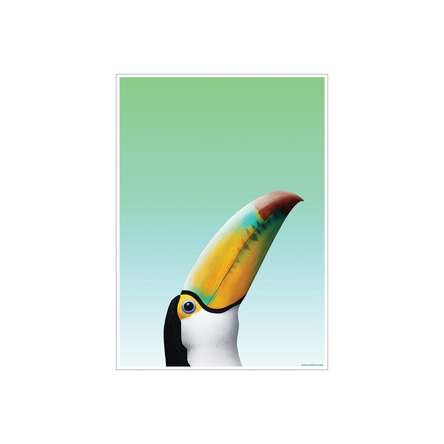 Toucan Poster by Debenhams | ufurnish.com