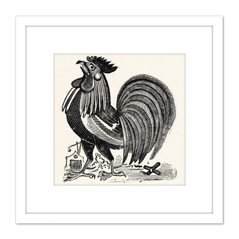 Posada Rooster Chicken Cock Engraving Drawing 8X8 Inch Square Wooden ...