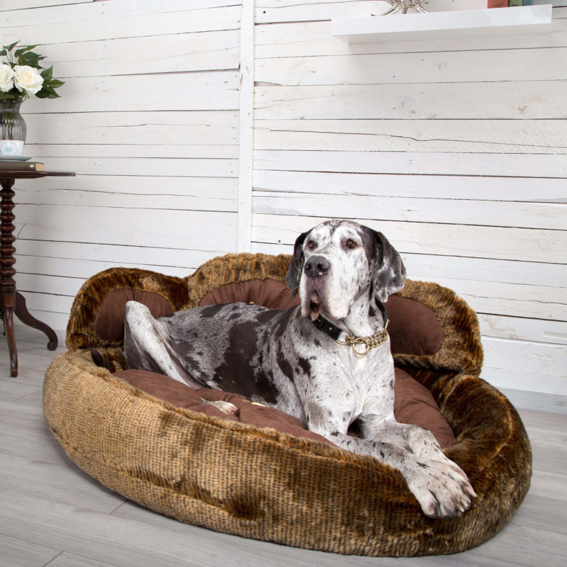 Scruffs Grizzly Bear Dog Bed Brown by Dunelm | ufurnish.com