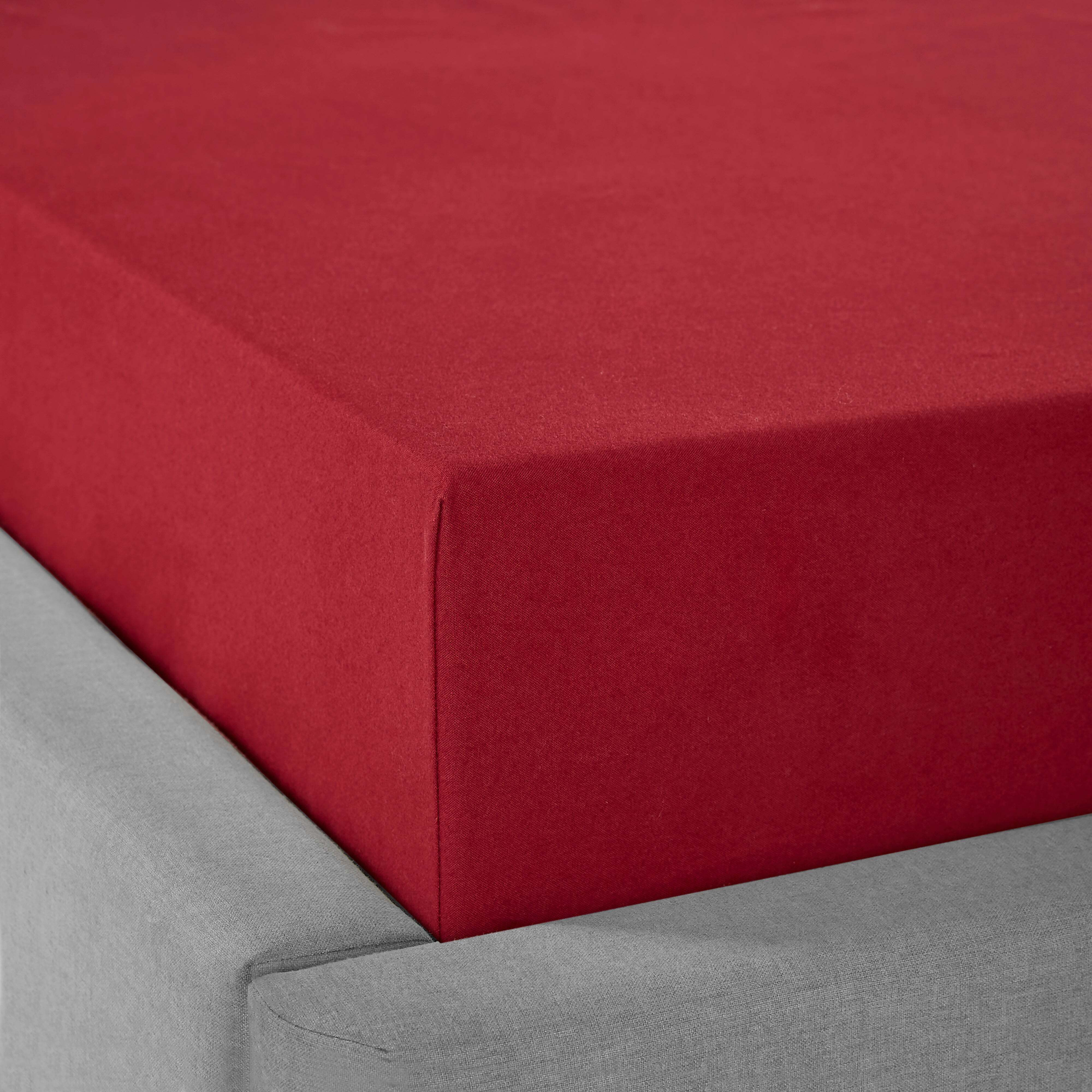 Dorma Brushed Cotton 35cm Fitted Sheet Red by Dunelm | ufurnish.com
